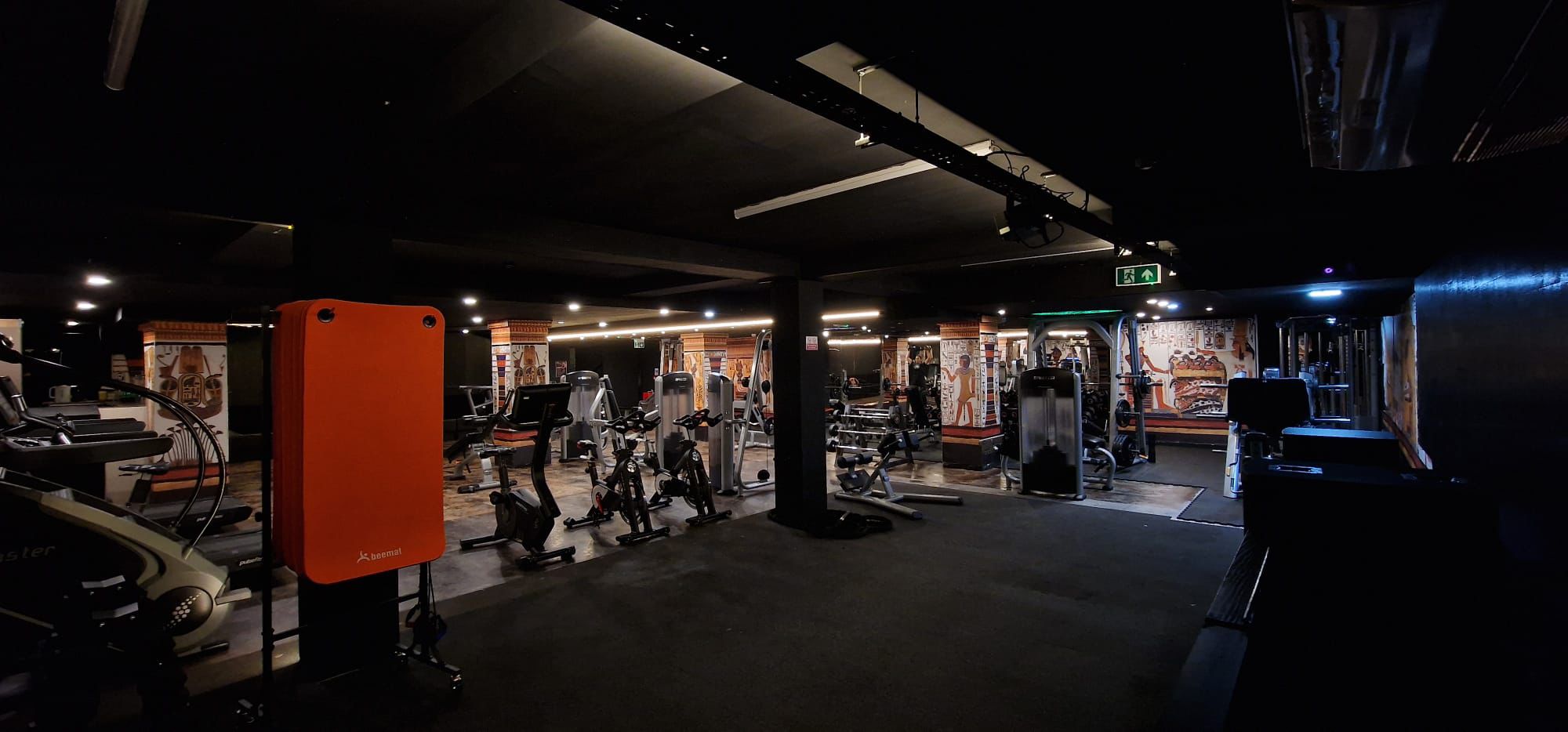 Anubis Fitness Stanmore | Premium Gym | Personal Training UK