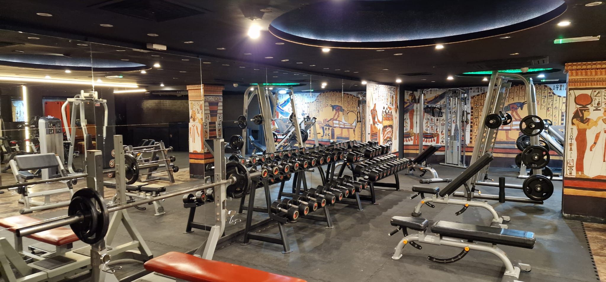 Anubis Fitness Stanmore | Premium Gym | Personal Training UK