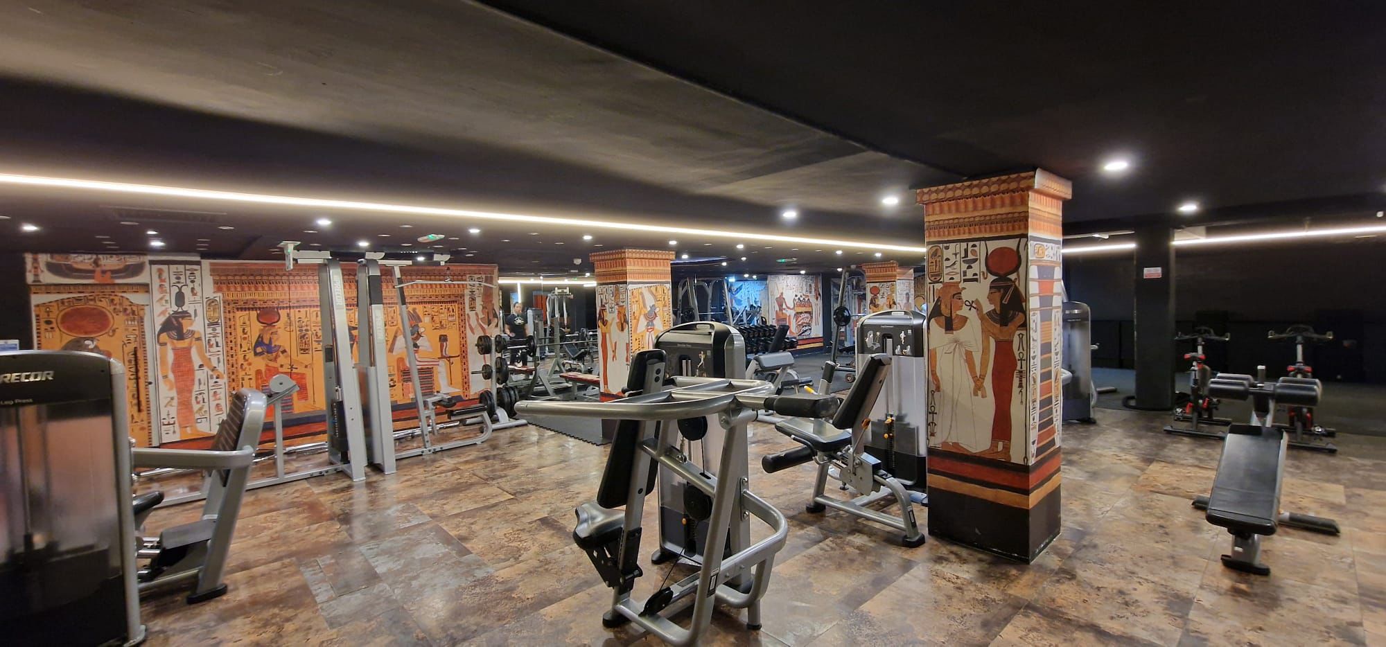 Anubis Fitness Stanmore | Premium Gym | Personal Training UK