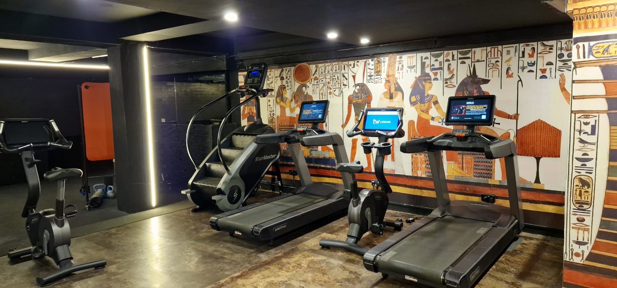 Anubis Fitness Stanmore | Premium Gym | Personal Training UK