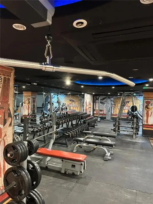 Anubis Fitness Stanmore | Premium Gym | Personal Training UK